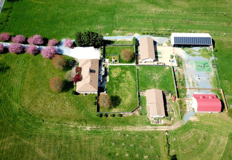 Dog's Day Farm – Cage-Free Dog Daycare, Boarding and More!